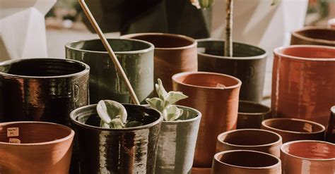 10 할인 Diy 원예 가정 정원 가정의 미학 거실 장식 경작자 공장 전시 꽃 장식 꽃꽂이 냄비 녹색 식물 녹색 엄지 손가락 녹지 도기 도시 원예