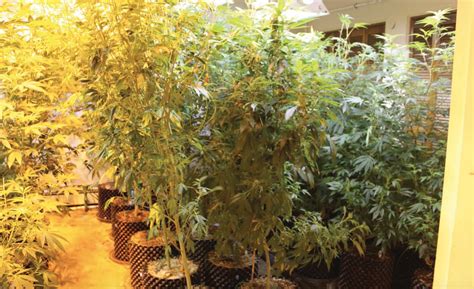 Thomas Laverty Sentenced To 12 Years In Prison For Role In Using