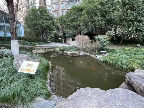 为什么小区水景最后都会被抛弃 澎湃号湃客 澎湃新闻 The Paper