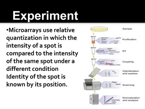 DNA Microarray PPTX