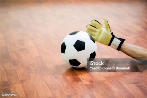 나무 풋살 바닥에 풋살 골키퍼의 손에 공 실내 축구 스포츠 홀 Championship에 대한 스톡 사진 및 기타 이미지 Championship 건강한 생활방식 경기