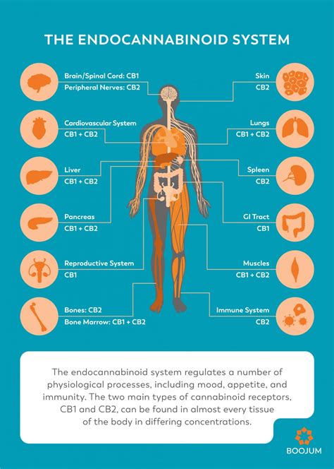 The Cannabinoids Within Boojum Group