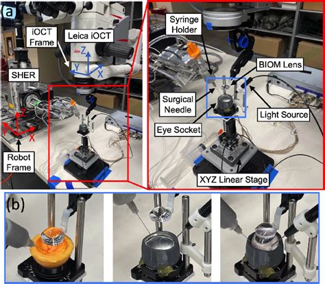 Figure 1 From Autonomous Needle Navigation In Subretinal Injections Via Ioct Semantic Scholar