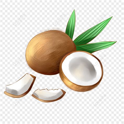 มะพร้าว Png สำหรับการดาวน์โหลดฟรี Lovepik