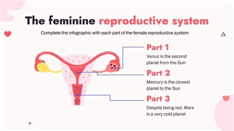 Human Sexuality Lesson For High Babe