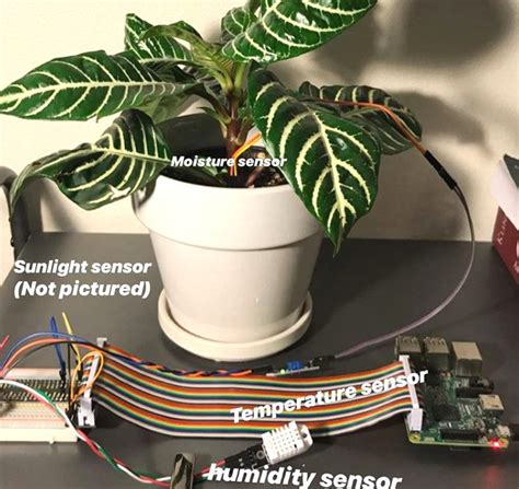 🔆 Iot Engineering Education