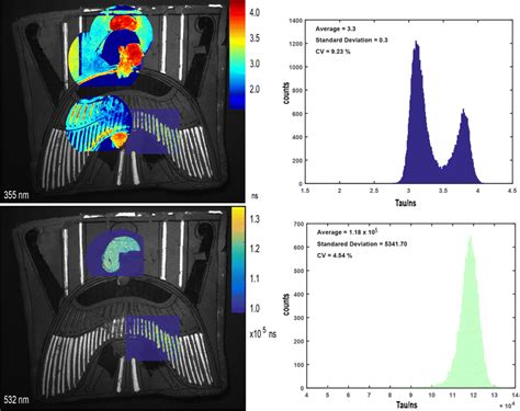 Luminescence Lifetime Imaging Of The Cartonage Left Panel Top False Download Scientific