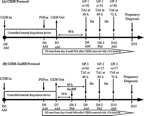 Experimental Design To Evaluate The Effect Of Timing Of Ai On Pregnancy Download Scientific