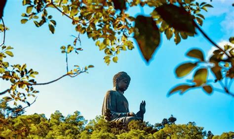 人在什么时候最明白？时最舍小得钱买