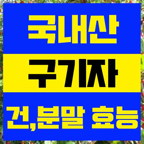 청양 구기자 효능과 건 발효 분말 가루 먹는방법 안내 고지베리 차 부작용 네이버 블로그