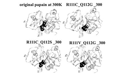 Using Ai And Molecular Dynamic Simulations To Predict And Modify Enzyme Function Aiporg Using Ai And Molecular Dynamic Simulations To Predict And Modify Enzyme Function Aiporg