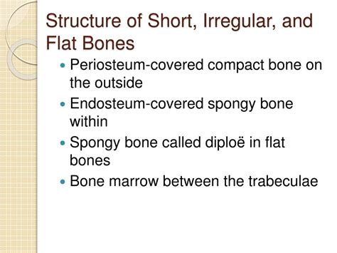 Ppt The Skeletal System Bones And Joints Powerpoint Presentation