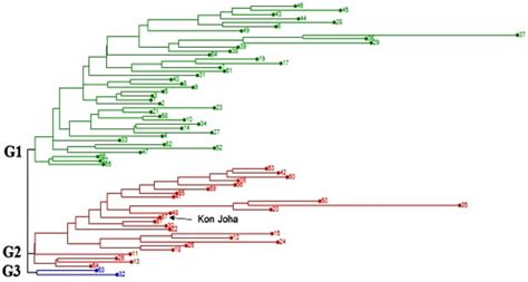 hierarchical horizontal clustering of the 66 mutants along with the