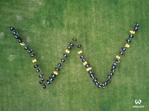 Wincent Trading Interview