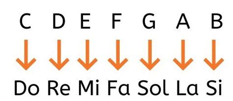 Notas Musicales ¿cuáles Son Y Cómo Se Escriben