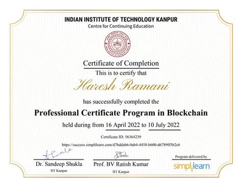 professional certificate program in blockchain pdf