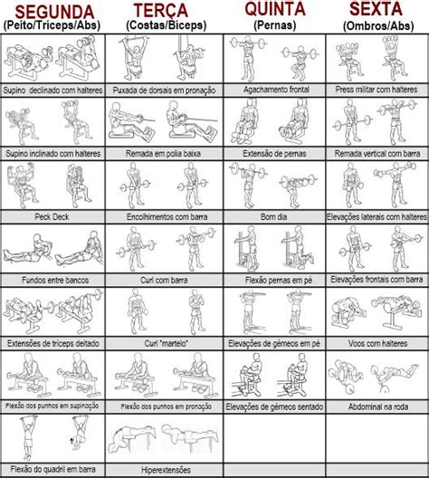 MusculaÇÃo Treino Para Ganhar Massa SÉries ExercÍcios Hipertrofia