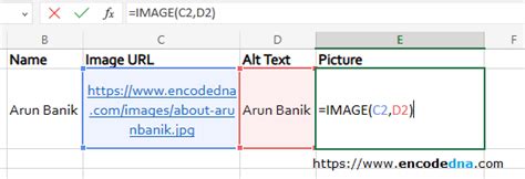 Excel Image Function Now Insert A Picture In A Cell Using A Formula