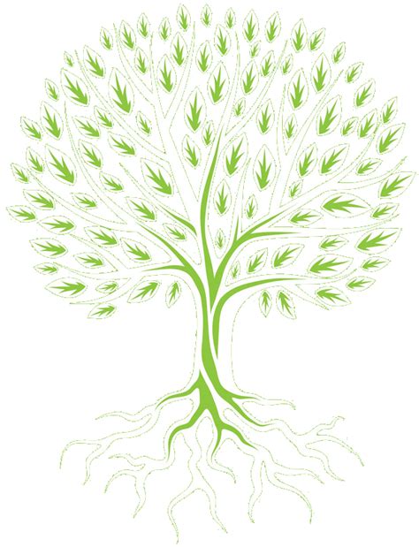 Resources Mass Conservation