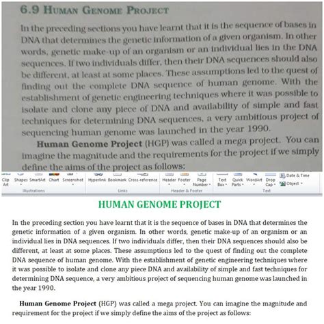 copy typing in ms word freelancer