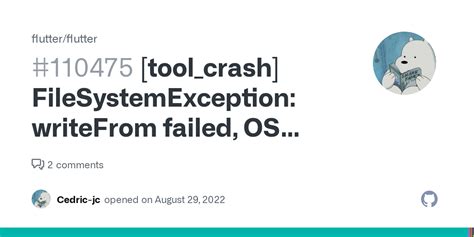 Toolcrash Filesystemexception Writefrom Failed Os Error No Space