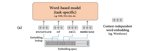 G0506 Contextualized Embeddings Deep Learning Bible 3 Natural Language Processing 한글