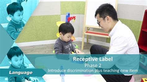 Receptive Label Ph Introduce Discrimination Plus Teaching New Item APSPARKS