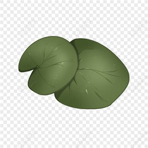 하나의 크고 작은 수련 클립 일러스트 아트크기 Png 일러스트 무료 다운로드 Lovepik