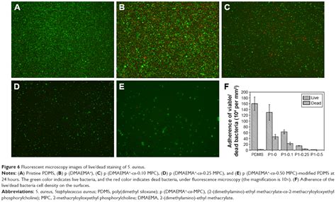 Fabrication Of Nonfouling Bactericidal And Bacteria Corpse Release Ijn
