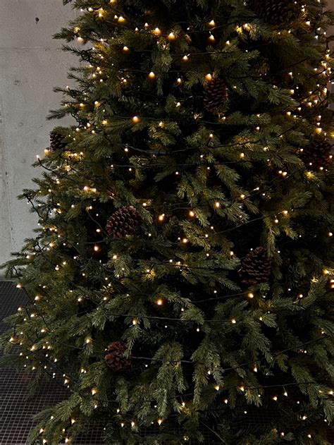 sql 스터디 sql을 활용한 분석 1