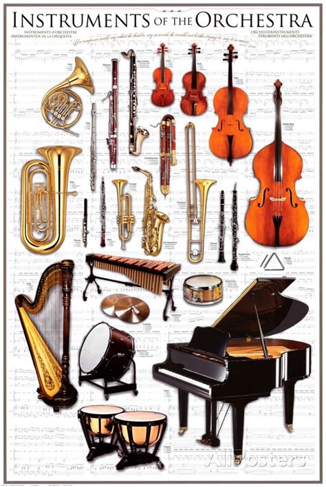 Symphony Orchestra Instruments Images At Amy Stansbury Blog