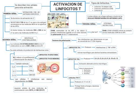 Light Colorful Simple Mind Map