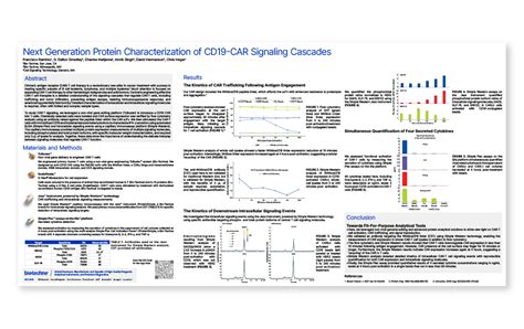 Next Generation Protein Characterization Of Cd19 Car Signaling Cascades Bio Techne