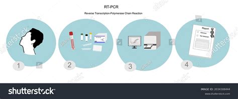 Qpcr Protocol 2 Images Photos Et Images Vectorielles De Stock Shutterstock