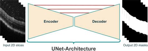 Deep Learning Based Retina Surface Extraction Using U Net Download Scientific Diagram