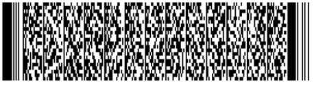 Write Aamva Drivers License Barcode Console C Leadtools Sdk Tutorials Help