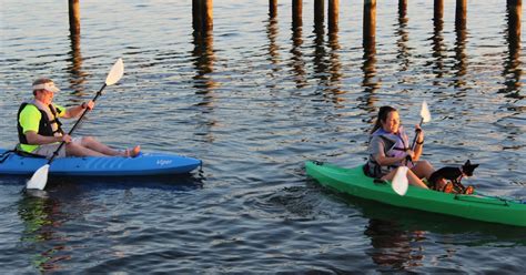 THE ADVENTURES OF JESS