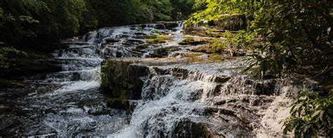 Welcome — Tennessee State Parks