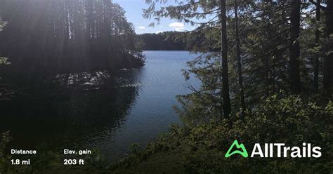 Mcivor Lake Loop British Columbia Canada 6 Reviews Map Alltrails
