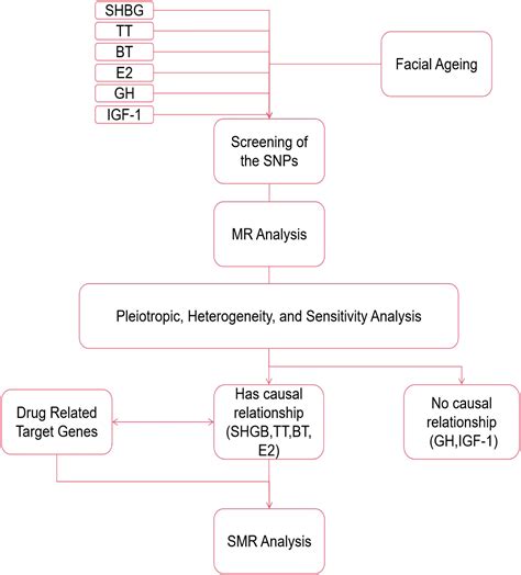 Frontiers Associations Between Genetically Predicted Sex And Growth