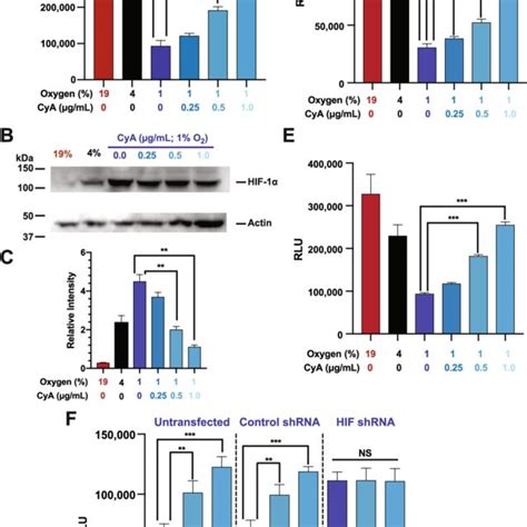 Differential Expression Analysis Of Proteomics Data A Heatmap Of