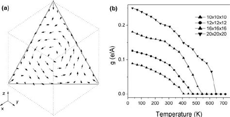 Cross Section Of A Local Polarization Configuration In A 111 Plane