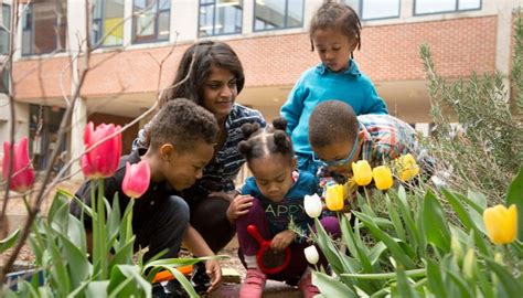 Case Studies Districts Are Reducing Chronic Absence For Homeless