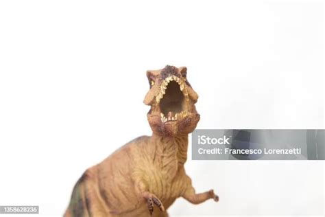 흰색 배경에 고립 된 공룡 얼굴 0명에 대한 스톡 사진 및 기타 이미지 0명 고대의 고생물학 Istock