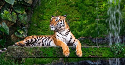 Anand Jha Posted On Linkedin