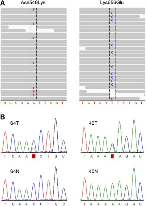 Activating Fgfr1 Mutations In Sporadic Pheochromocytomas Abstract Europe Pmc