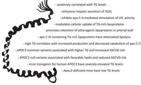 Full Article Recent Advances In Treating Hypertriglyceridemia In