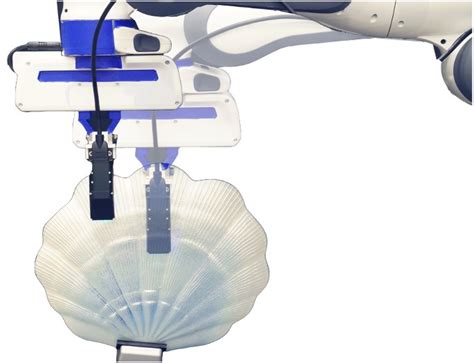 Object Manipulation Tasks Objectfolder