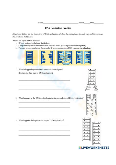 Dna Structure Worksheet Dna Structure Worksheet
