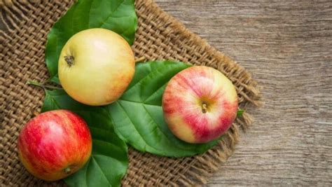 Apples For Sex Here S How It Can Boost Your Libido Healthshots